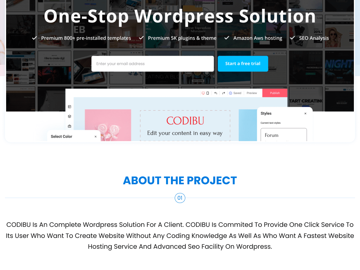 CODIBU (WordPress solution) by Md. Shahinur Rahman on Dribbble