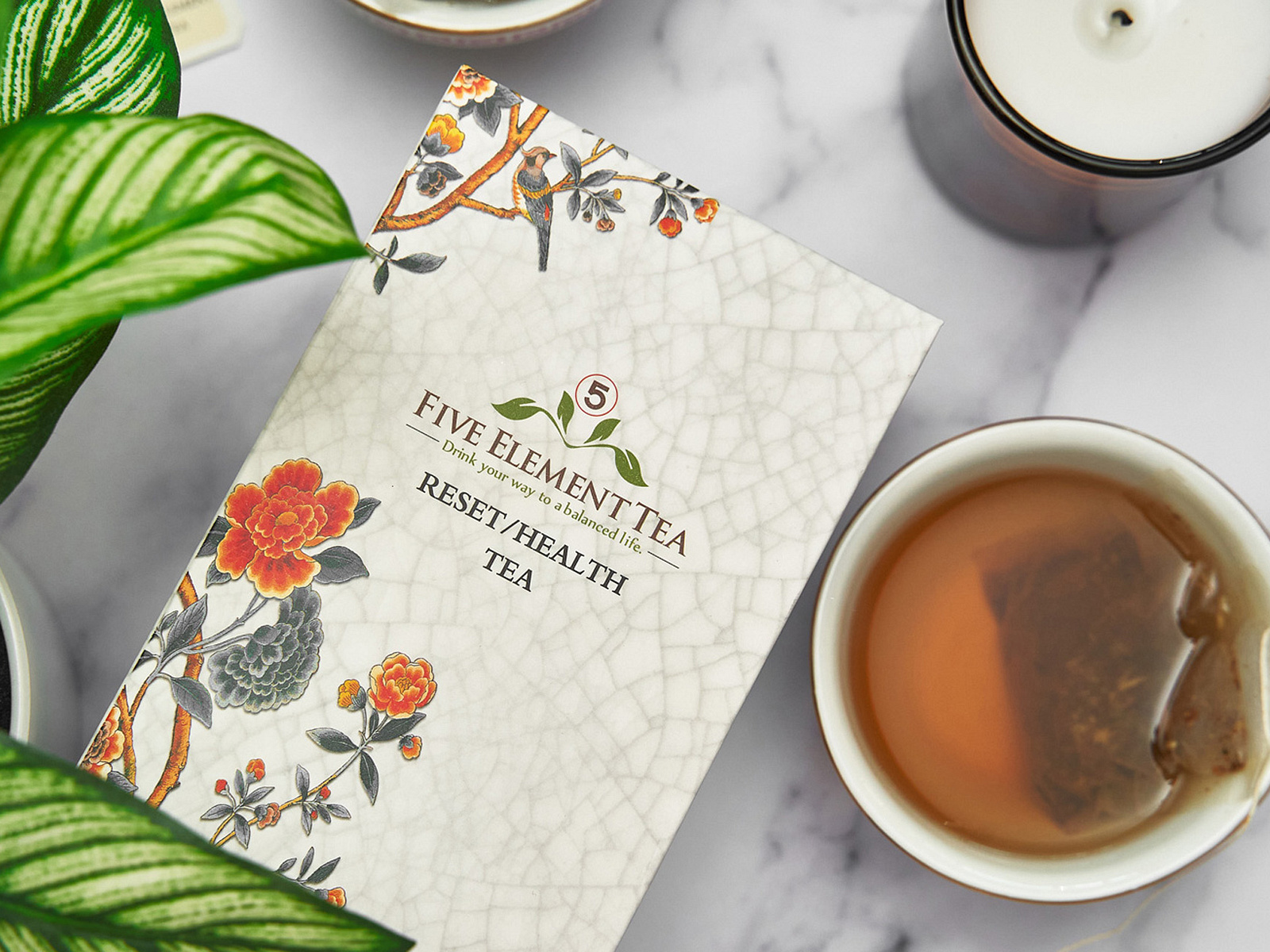 Five Element Tea by Jason Rivera, MBA on Dribbble