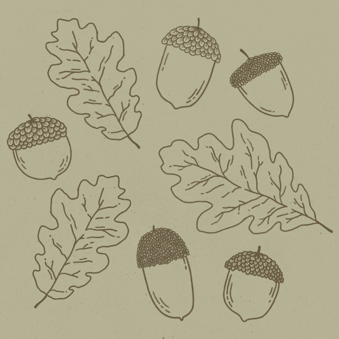 Elise McIntyre | Dribbble