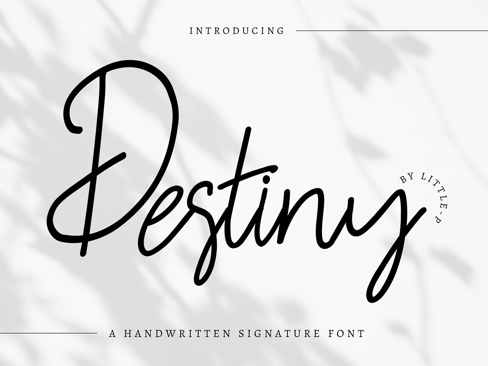 Destiny : A Handwritten Signature Font by Little_p studio on Dribbble