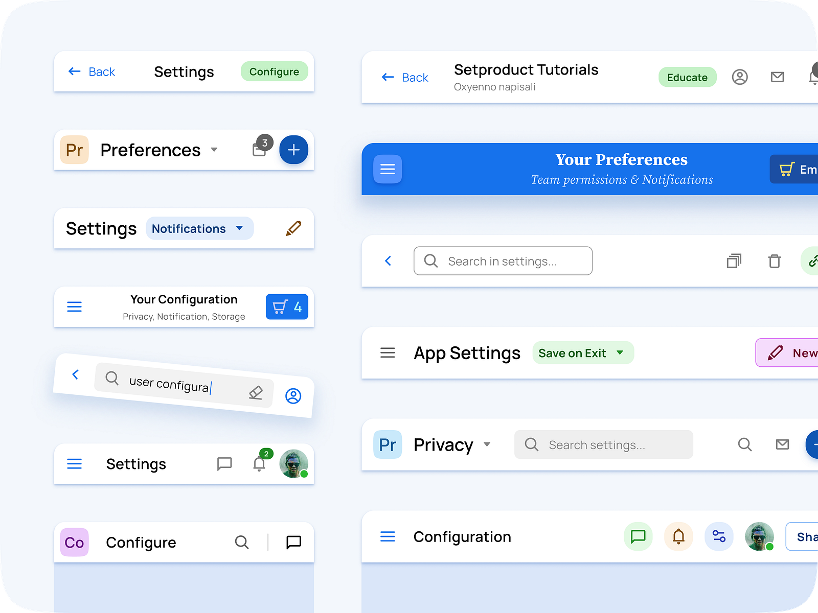 Expert Tips: App Settings UI Design Made Easy by Roman Kamushken for Setproduct on Dribbble
