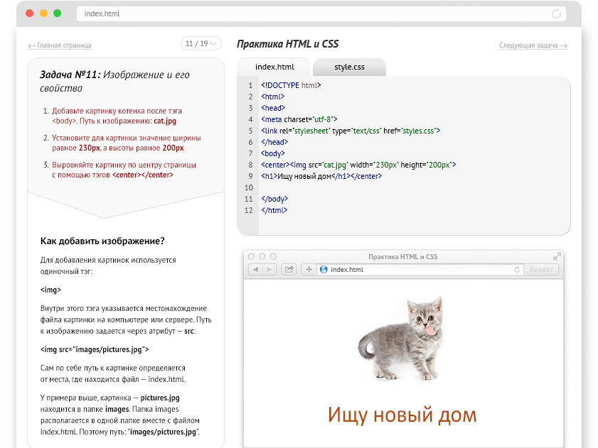 Обучающий курс Html и Css Тренажер 2 0 By Pavel Mamilov On Dribbble
