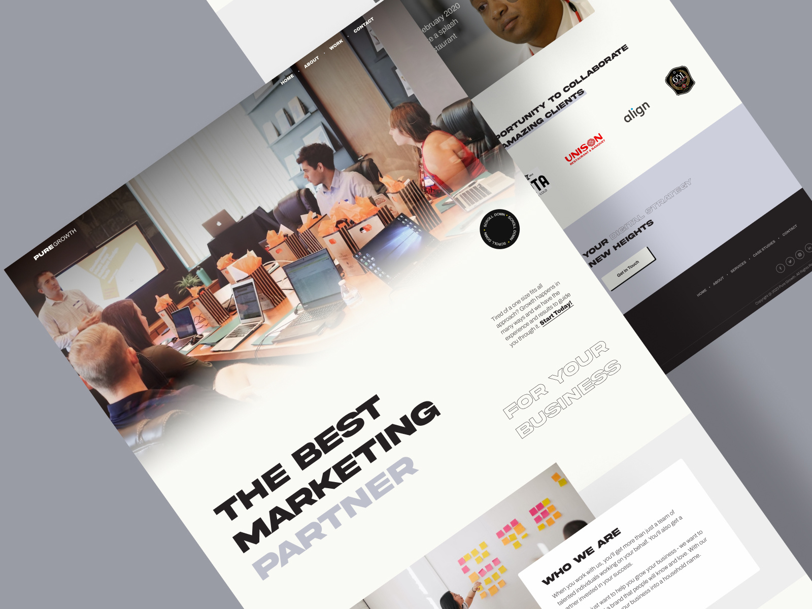 Pure Growth (Lighter Version) - Design & Webflow Development by Syed Mahbub for Devflow on Dribbble