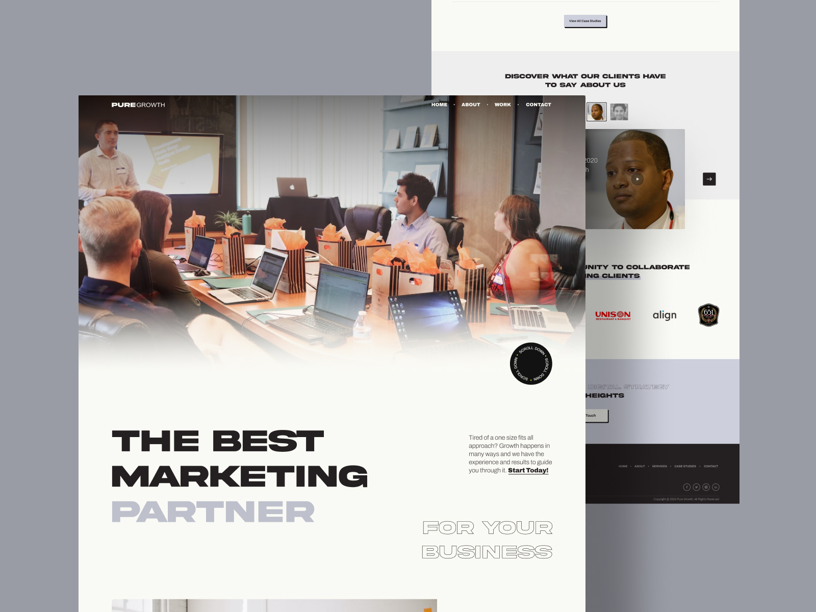 Pure Growth (Lighter Version) - Design & Webflow Development by Syed Mahbub for Devflow on Dribbble