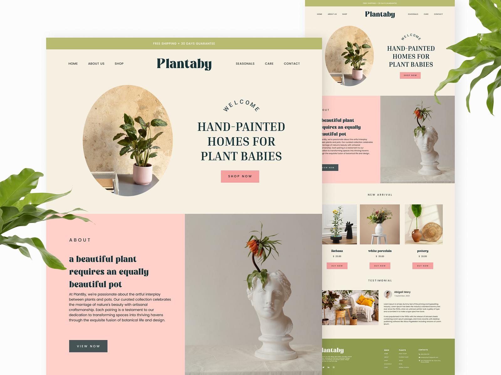Plantaby by Anika Tahsin on Dribbble