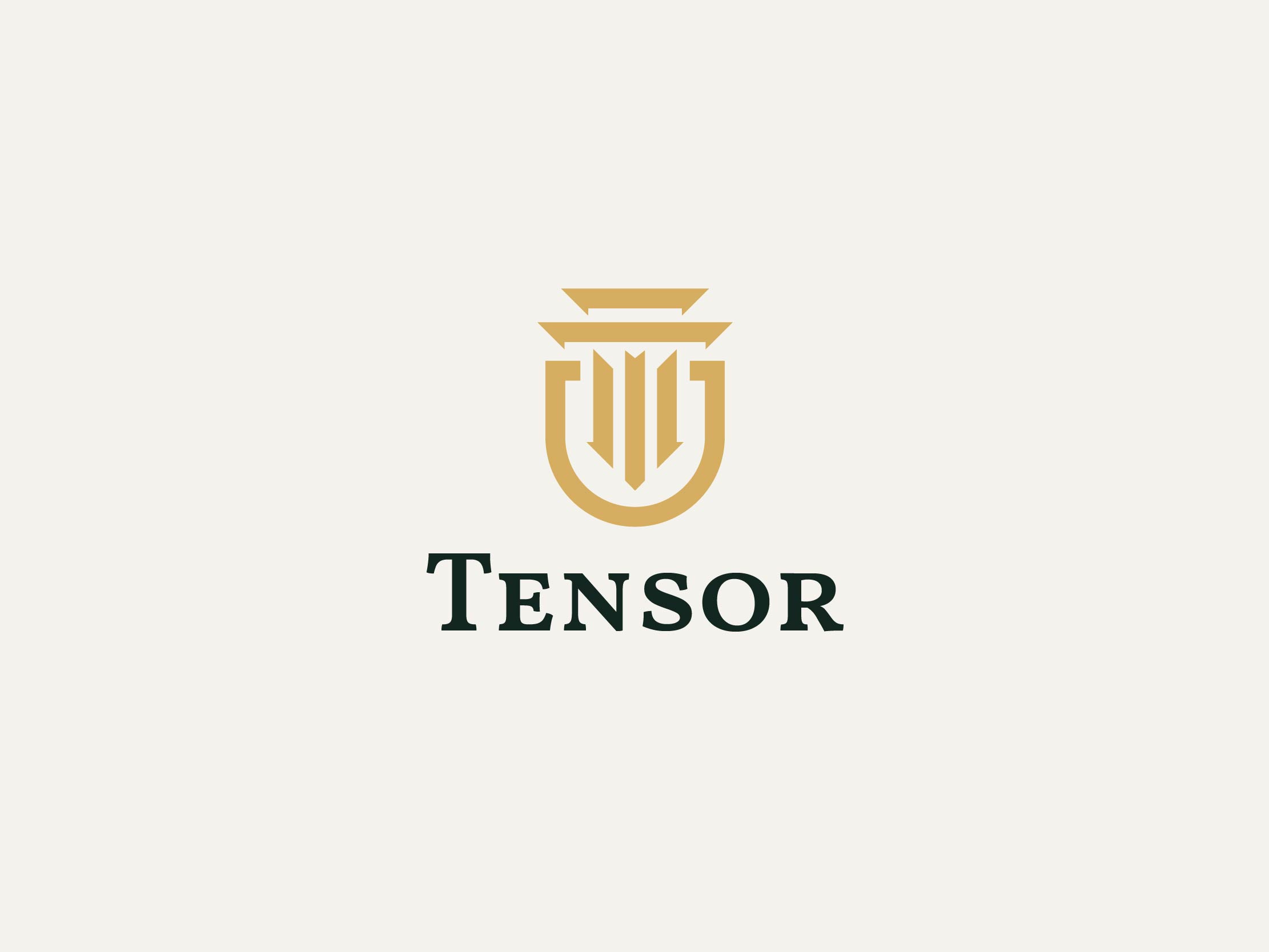 Tensor_Logo Design by Next Mahamud on Dribbble