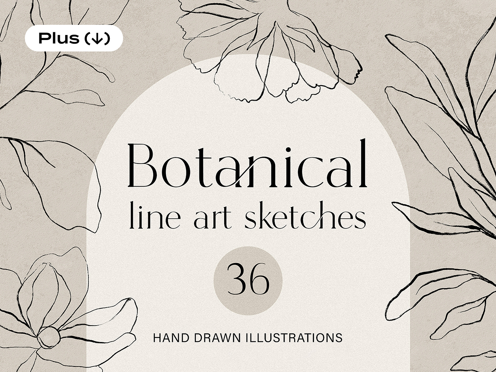 Botanical Line Art Pack by Pixelbuddha on Dribbble
