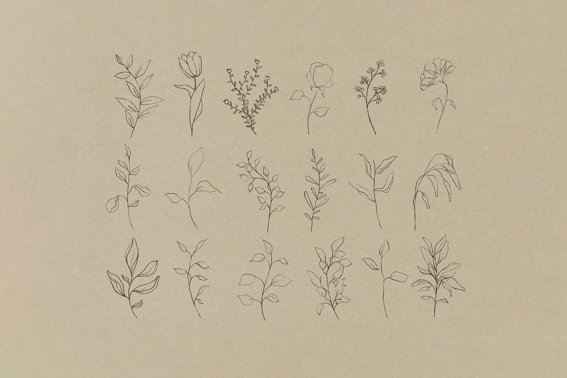 Botanical Line Art Pack by Pixelbuddha on Dribbble