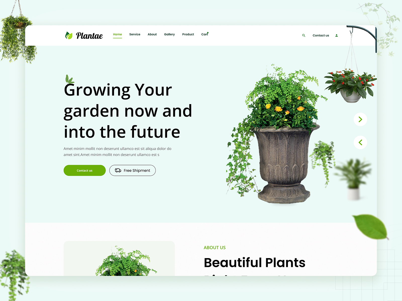 Plants Website Design🌱🍂 by The Mad Brains on Dribbble
