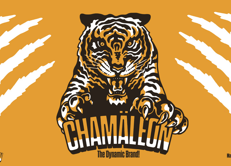 boysetsfire - 25 years anniversary by Christian Bögle on Dribbble