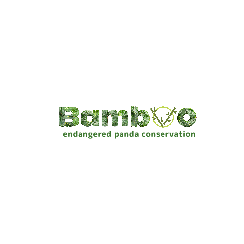 panda conservation logo by Sumaiya Abdin on Dribbble