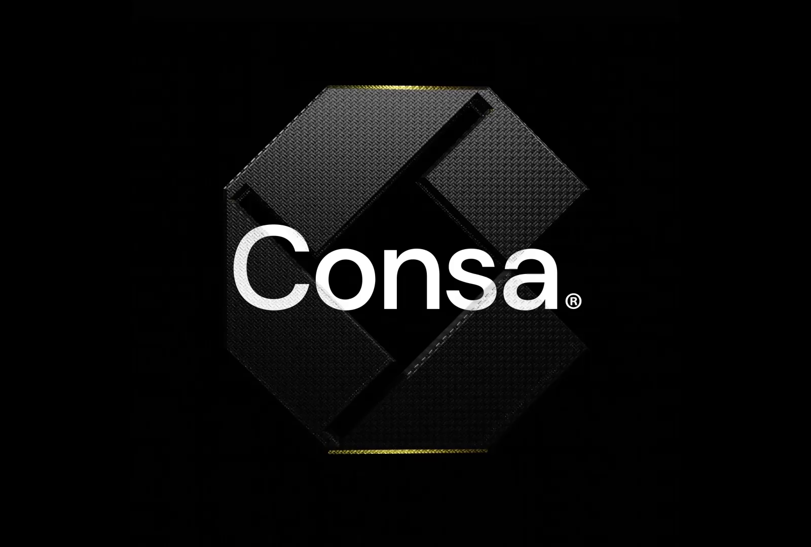 Consa®️ by Elif Kameşoğlu for Elbu Studio on Dribbble
