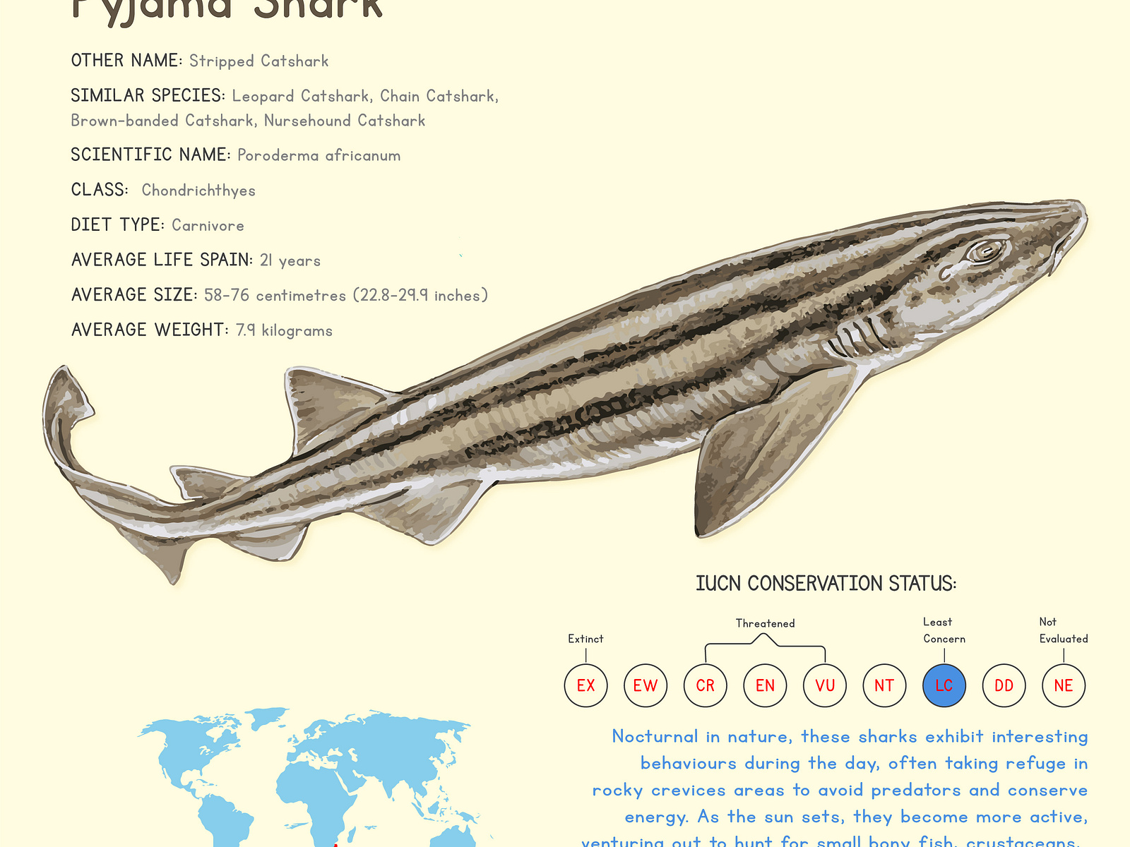 Pyjama Shark Insights Fact Sheet by Noor Waseem on Dribbble