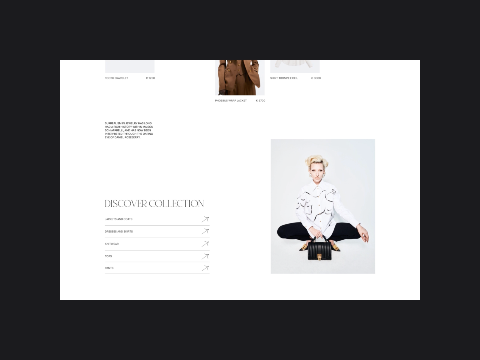 Schiaparelli. Corporate website redesign concept by Mary Chumak on Dribbble