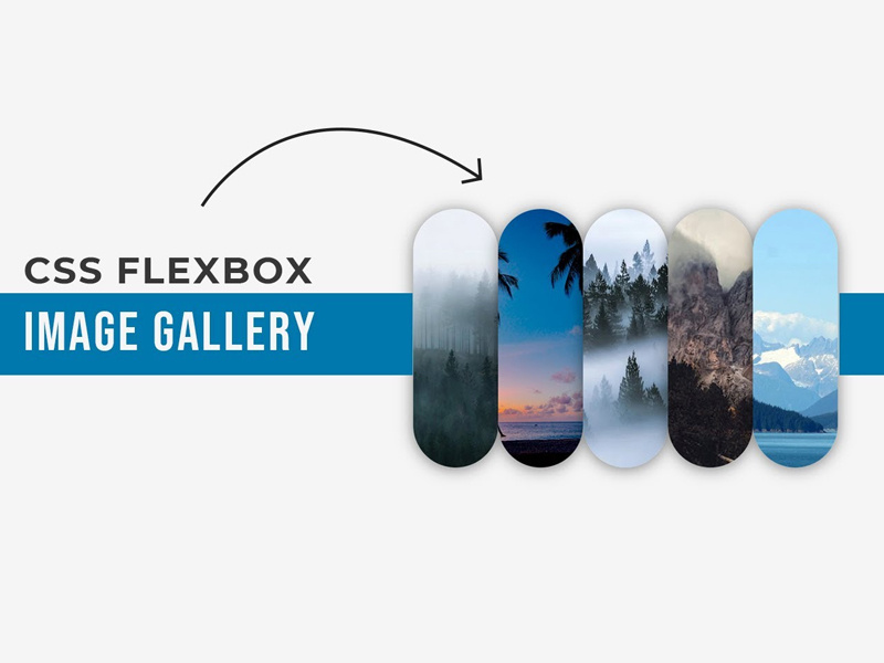 CSS Flexbox Responsive Image Gallery by divinectorweb on Dribbble
