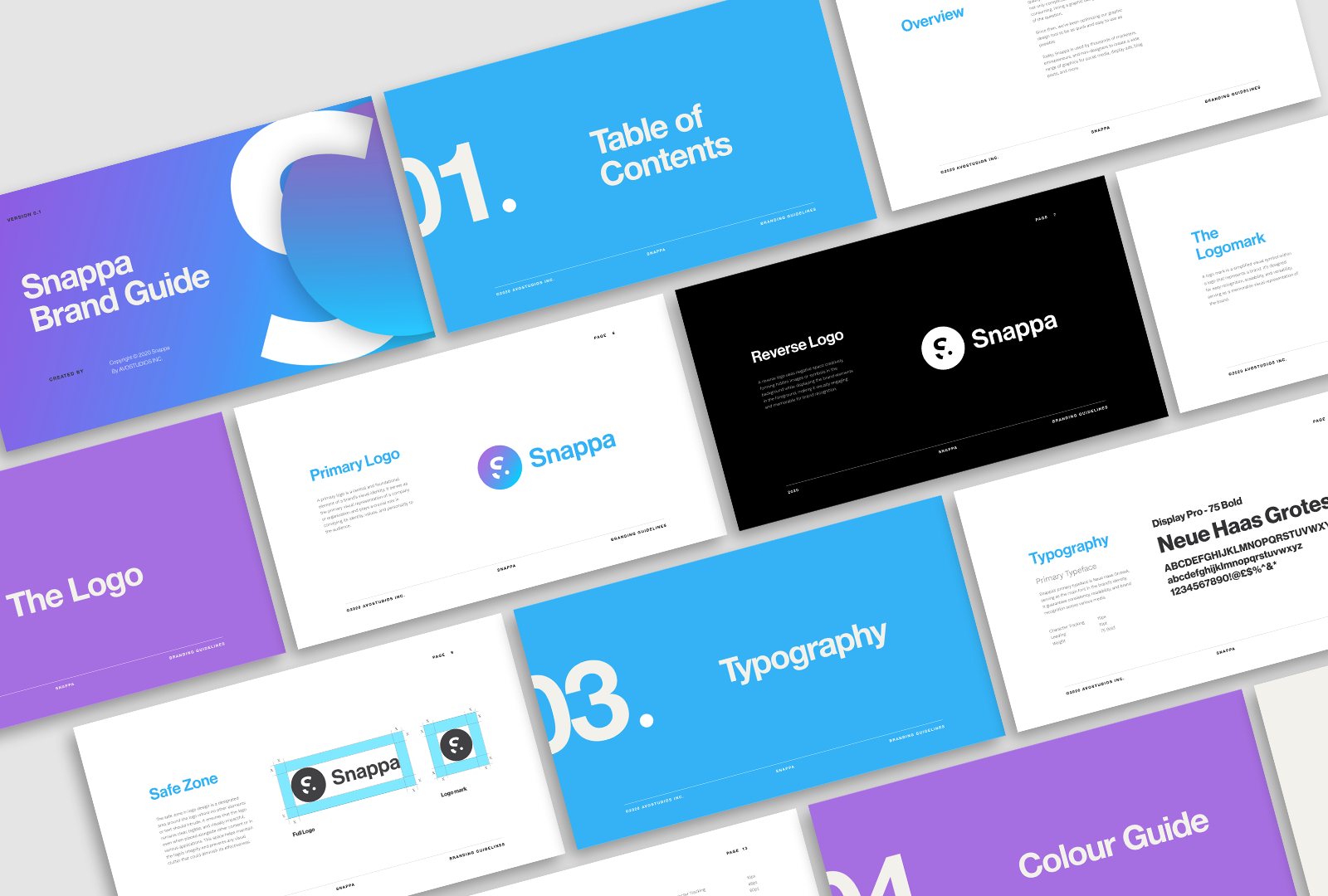 Snappa Brand Guide Concepts by Amanda M Vo on Dribbble