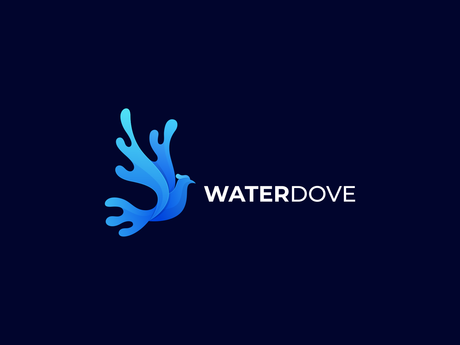 WATER DOVE by MT Projectss on Dribbble
