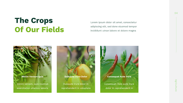 Agriculture Presentation Design by Invima Studio on Dribbble