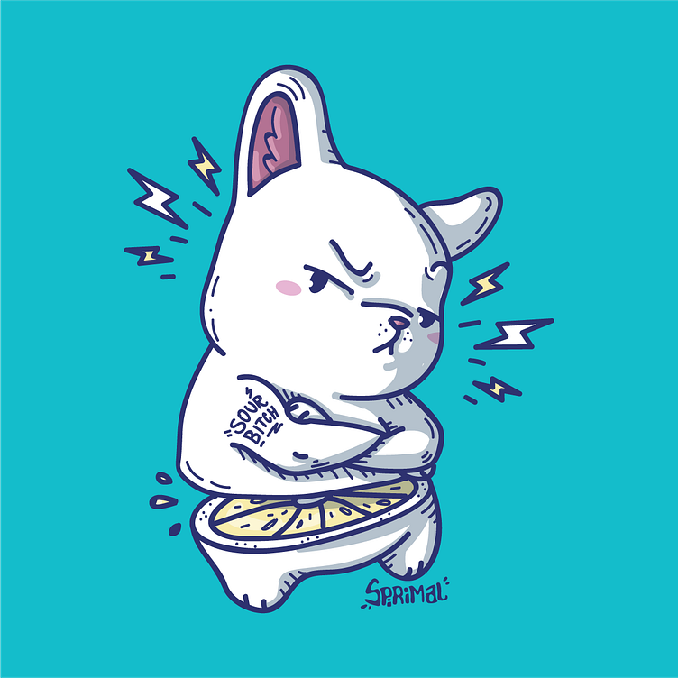 Follow the White Rabbit Collection by Spirimal on Dribbble