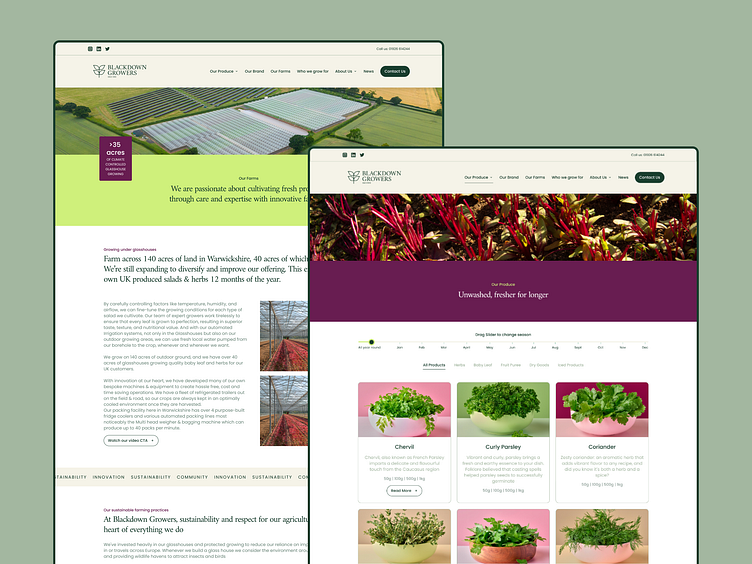 Organic Farmers website case study | Website design | UX UI by Ravi ...