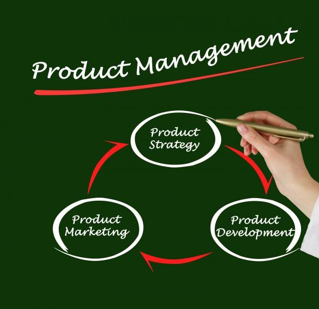 The Future of Project Management Consulting by Group50 on Dribbble